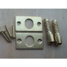 Pair Of Security Hinge Dog Bolts Polished Brass | Ironmongery World